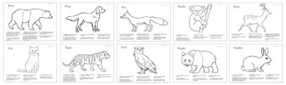 Color in worksheets with animal facts • Happythought