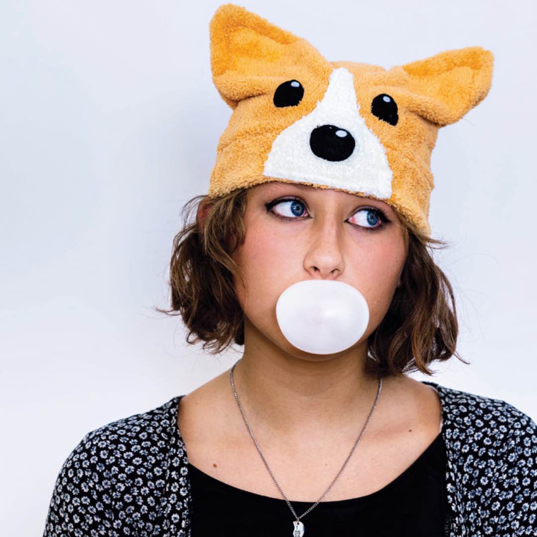 Corgi Crafts: 23 fun and adorable corgi craft projects • Happythought