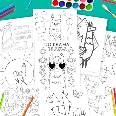 Llama coloring in activity. Enjoy learning today • Happythought